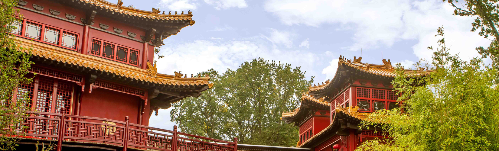 Pandasia in Ouwehands Dierenpark verkozen tot mooiste ...