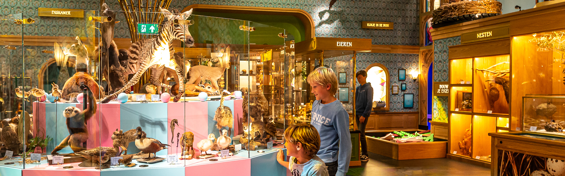 Naturalis is compleet vernieuwd » Schoolreis Nederland
