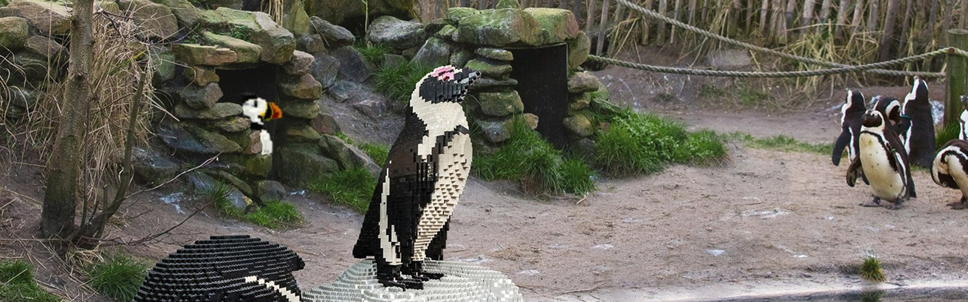 Schoolreis.nl | AquaZoo viert jubileum met expositie Ocean Bricks